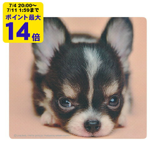 商品概要 品番MPD-215CJANコード4969887248768商品仕様■サイズ：W170×D150×H0.6mm■材質：表面/再生PET（ポリエチレンテレフタレート）裏面/低粘着ドット加工■写真品種説明：品種名/チワワ原産/中北米大陸...