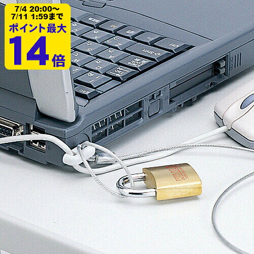 商品概要 品番SL-21KJANコード4969887283004商品仕様■サイズ：ワイヤー長/2.0mワイヤー直径/1.6mm■ワイヤー部材質：亜鉛（ビニールコーティング加工）■セット内容：取り付け部品A×1取り付け部品B×1ワイヤー×1南...