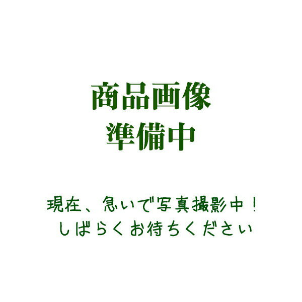 高級ビャクダンの香りと安定した効きめの蚊とり線香。当社レギュラー品の1.7倍長持ちするジャンボサイズです。便利な線香皿入りです。形状　その他香り　高級ビャクダンの香り内容量　110巻安定した効きめの蚊とり線香。当社レギュラー品の1.7倍長持...