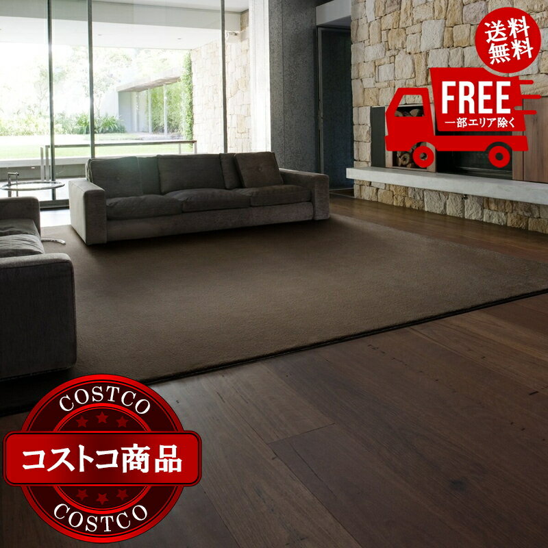 消臭(トリプルフレッシュ)加工防炎防音防ダニ裏面滑り止め加工ホットカーペットカバー対応原産国：日本　