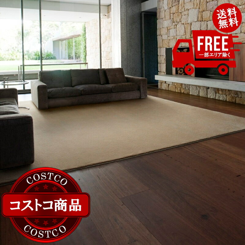 消臭(トリプルフレッシュ)加工防炎防音防ダニ裏面滑り止め加工ホットカーペットカバー対応原産国：日本　