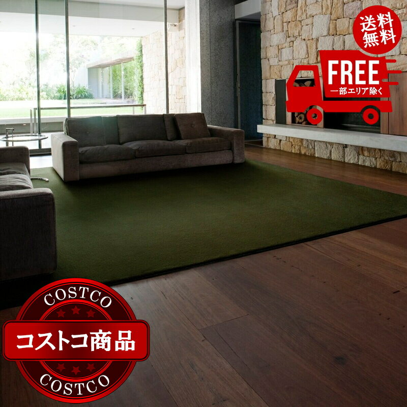 消臭(トリプルフレッシュ)加工防炎防音防ダニ裏面滑り止め加工ホットカーペットカバー対応原産国：日本　