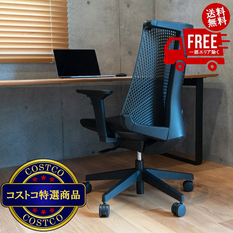 ＜ ご注文前の確認事項 ＞ ・ご注文後に欠品する場合もあります。 ・出荷元の都合により出荷が遅れる場合もあります。 ・送料無料は、北海道、沖縄、離島は対象外となります。 --------------------------- 背もたれ　エラ...