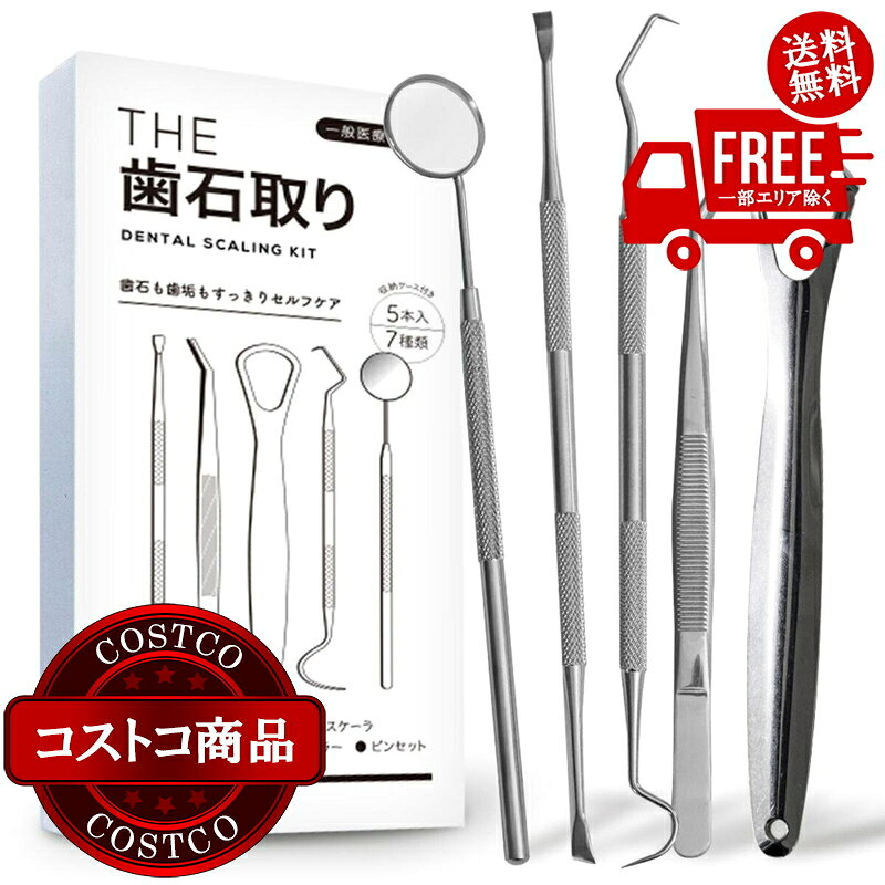 ＜ ご注文前の確認事項 ＞ ・ご注文後に欠品する場合もあります。 ・出荷元の都合により出荷が遅れる場合もあります。 ・送料無料は、北海道、沖縄、離島は対象外となります。 --------------------------- 歯石取りデンタ...