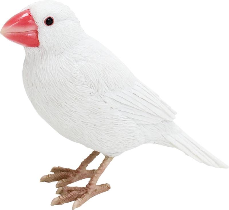 バーディ ビル 文鳥 BIRDIE BILL JAVA SPARROWサイズ：W165 x 95 x D38mm素材：ポリレジン,アイアン, マグネット生産国：中国