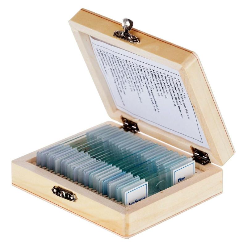 [AmScope]AmScope Prepared Microscope Slide Set for Basic Biological Science Education, 25 Slides, Includes Fitted