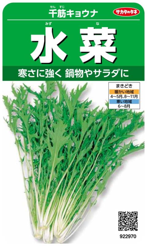 サカタのタネ 実咲野菜 ミズナー