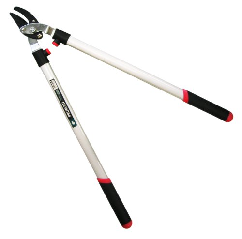 &nbsp;メーカー&nbsp;五十嵐刃物工業&nbsp;商品カテゴリ&nbsp;剪定用具＞園芸用はさみ&nbsp;発送目安&nbsp;1週間以内に発送予定&nbsp;お支払方法&nbsp;銀行振込・クレジットカード&nbsp;送料&nbs...