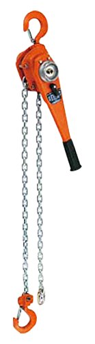 &nbsp;メーカー&nbsp;TRUSCO トラスコ中山&nbsp;商品カテゴリ&nbsp;建築工具＞チェーンブロック&nbsp;発送目安&nbsp;1日〜2日以内に発送予定（土日祝除）&nbsp;お支払方法&nbsp;銀行振込・クレジッ...