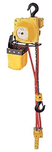 &nbsp;メーカー&nbsp;遠藤工業&nbsp;商品カテゴリ&nbsp;建築工具＞チェーンブロック&nbsp;発送目安&nbsp;1日〜2日以内に発送予定（土日祝除）&nbsp;お支払方法&nbsp;銀行振込・クレジットカード&nbsp...