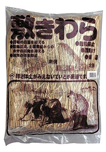 &nbsp;メーカー&nbsp;大宮グリーンサービス&nbsp;商品カテゴリ&nbsp;肥料・園芸薬剤＞肥料・土壌改良剤&nbsp;発送目安&nbsp;1日〜2日以内に発送予定（土日祝除）&nbsp;お支払方法&nbsp;銀行振込・クレジッ...