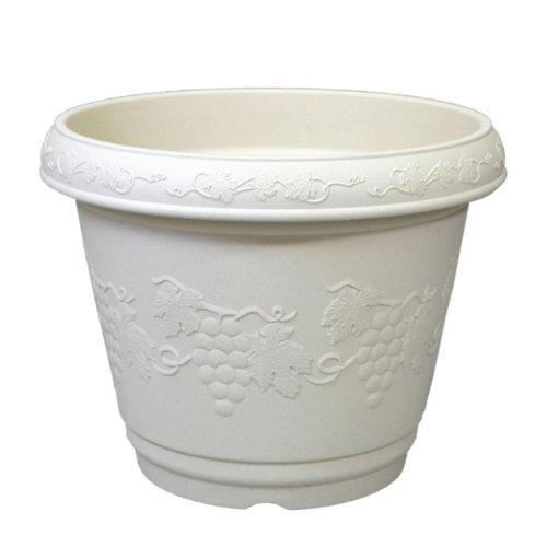 &nbsp;メーカー&nbsp;アップルウェアー&nbsp;商品カテゴリ&nbsp;鉢・プランター用品＞ボックス&nbsp;発送目安&nbsp;3日〜4日以内に発送予定（土日祝除）&nbsp;お支払方法&nbsp;銀行振込・クレジットカード...