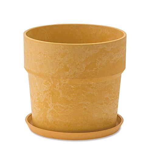 &nbsp;メーカー&nbsp;ポッシュリビング(Posh Living)&nbsp;商品カテゴリ&nbsp;鉢・プランター用品＞ボックス&nbsp;発送目安&nbsp;1週間以内に発送予定&nbsp;お支払方法&nbsp;銀行振込・クレジ...