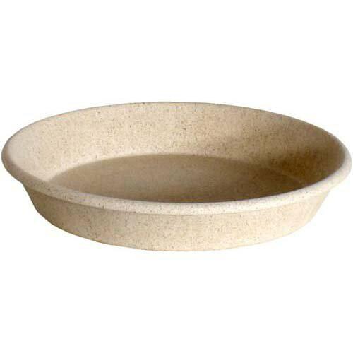 &nbsp;メーカー&nbsp;welzo&nbsp;商品カテゴリ&nbsp;種・苗＞植木&nbsp;発送目安&nbsp;3日〜4日以内に発送予定（土日祝除）&nbsp;お支払方法&nbsp;銀行振込・クレジットカード&nbsp;送料&nb...