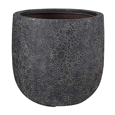 &nbsp;メーカー&nbsp;Tan Khoa&nbsp;商品カテゴリ&nbsp;鉢・プランター用品＞ボックス&nbsp;発送目安&nbsp;1〜2週間以内に発送予定&nbsp;お支払方法&nbsp;銀行振込・クレジットカード&nbsp;...