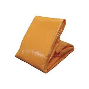 &nbsp;メーカー&nbsp;TRUSCO トラスコ中山&nbsp;商品カテゴリ&nbsp;物流・保管用品＞作業シート・固定紐&nbsp;発送目安&nbsp;1日〜2日以内に発送予定（土日祝除）&nbsp;お支払方法&nbsp;銀行振込・...