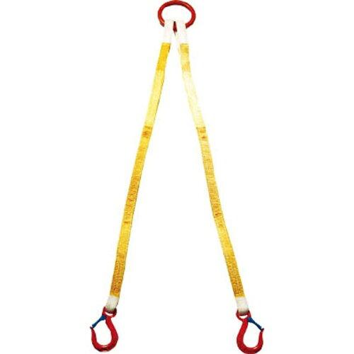 &nbsp;メーカー&nbsp;大洋製器工業&nbsp;商品カテゴリ&nbsp;建築工具＞チェーンブロック&nbsp;発送目安&nbsp;1日〜2日以内に発送予定（土日祝除）&nbsp;お支払方法&nbsp;銀行振込・クレジットカード&nb...