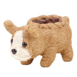 &nbsp;メーカー&nbsp;SG Wonder zone&nbsp;商品カテゴリ&nbsp;鉢・プランター用品＞鉢・プランターカバー&nbsp;発送目安&nbsp;2日〜3日以内に発送予定（土日祝除）&nbsp;お支払方法&nbsp;銀...