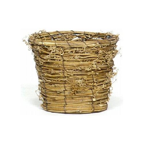 &nbsp;メーカー&nbsp;SG Wonder zone&nbsp;商品カテゴリ&nbsp;鉢・プランター用品＞鉢&nbsp;発送目安&nbsp;1〜2週間以内に発送予定&nbsp;お支払方法&nbsp;銀行振込・クレジットカード&nb...