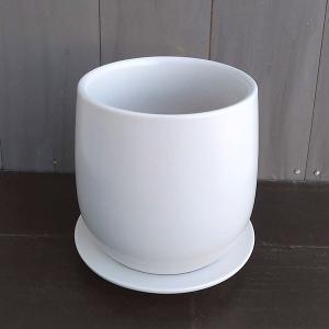 &nbsp;メーカー&nbsp;グリーンポット貿易部&nbsp;商品カテゴリ&nbsp;鉢・プランター用品＞鉢&nbsp;発送目安&nbsp;1週間以内に発送予定&nbsp;お支払方法&nbsp;銀行振込・クレジットカード&nbsp;送料&...