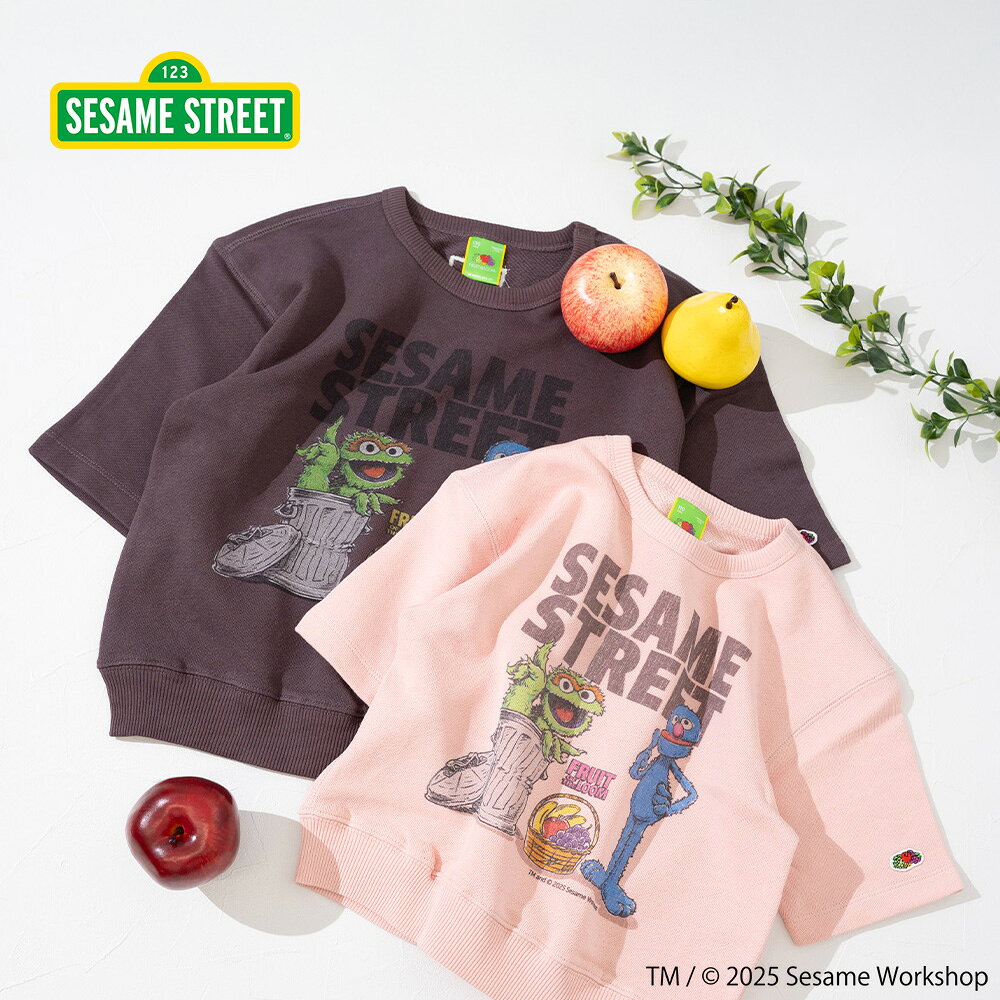※メーカー希望小売価格はメーカー商品タグに基づいて掲載しています。&emsp;商品説明　Description of item SESAME STREET meets FRUIT OF THE LOOM イラストプリントTシャツが登場 SE...