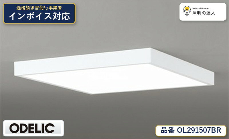 【照明器具の在庫・納期について】 現在、照明器具は一部メーカー・品番で在庫不足や納期遅延が発生しやすくなっています。 これまでのように「発注したらすぐ納品」が難しいケースも増えています。 蛍光灯2027年問題により、LED化需要も高まってい...