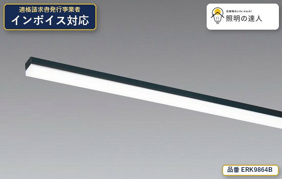 メーカー：遠藤照明品番：ERK9864B商品内容：ベースライト（3900lm ブラック）販売区分：メーカー取寄せ品※メーカー在庫より通常1〜3営業日で発送（在庫状況により変動します）型番・数量・納期確認のご相談も承ります。 【照明器具の在庫...