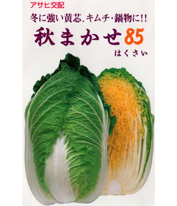 ・播種後約85日で収穫できる、中晩性品種。 ・草姿は立性で、尻張り・胴張りのよい砲弾型。 1球3.0kg程で良く揃います。 ・生理障害（石灰欠乏症「あんこ・縁腐れ」に強く、作りやすいです。 ・外葉は濃緑、球内色は鮮やかな黄色を示し、コントラ...