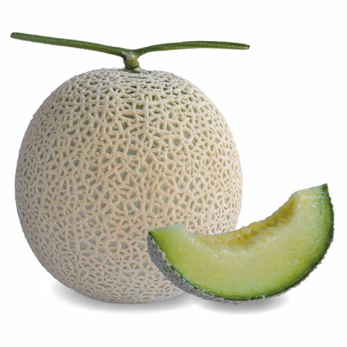 ・えそ斑点病(MNSV)・つる割病(レース0,2)に抵抗性。 ・うどんこ病に強い耐病性がある。 ・ネット発現は安定し、均一に盛り上がる。 ・果形は正球形で稜角等の乱れが少ない。 ・果肉は黄緑色で厚く、食味が優れる。 ・糖度のりが良く、15〜...