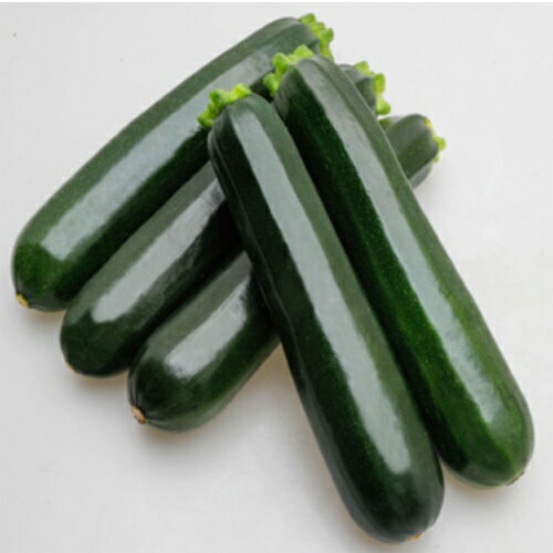 ・果実は極濃緑色の円筒形、長さ20cm前後で収穫期です。 ・早生性と雌花着生に優れるため、短期間で高収量が望めます。 ・栽培期間の短い露地栽培や抑制栽培に最適です。 ・ズッキーニ黄斑モザイクウイルス（ZYMV）、スイカモザイクウイルス（WM...