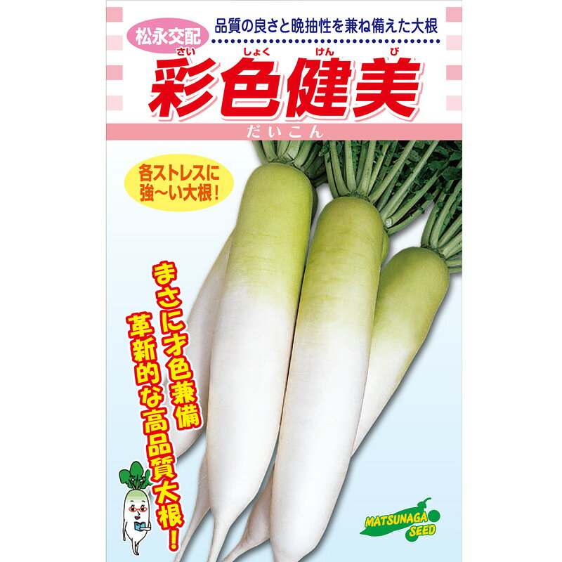 ・春大根の晩抽性と秋大根の品質の良さを兼ね備えた新しい作型をひり開く品種です。 ・晩春と秋の涼しい気候で特性を発揮します。 ・中間平坦地の3月上旬のトンネル+マルチ栽培から4月上旬の露地栽培まで抽苔を心配せずご利用いただけます。 ・最適播種...