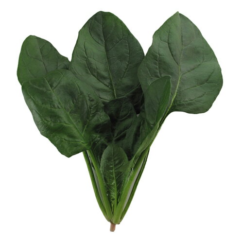 ・ベト病レース1〜15,17,19に抵抗性をもつ秋春まき品種。 ・葉は中間葉で濃緑、テリがある。軸色も濃く、太くて揃いが良い。 ・生育の早さは中生で、弊社「ビッグサマー」と比較してやや早い。 ・フザリウム耐病性を持ち、株腐病や立枯病に比較的...