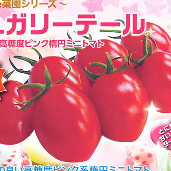 芯どまりタイプなので脇芽取り要らず＆草丈もコンパクト