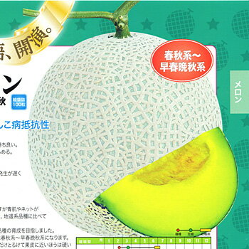 白肌・ネット盛り、そして肥大性