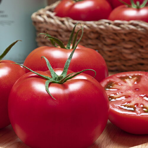 ・黄変しにくい特性をもつ ・すぐれたスタミナと着果性 ・腰高豊円形で高秀品率 ・黄化葉巻病に安定した耐病性 ・甘酸比のバランスがよい メーカー在庫となります為、流動的となります メーカー確認後、すぐにご用意できない等の場合もございます。その...