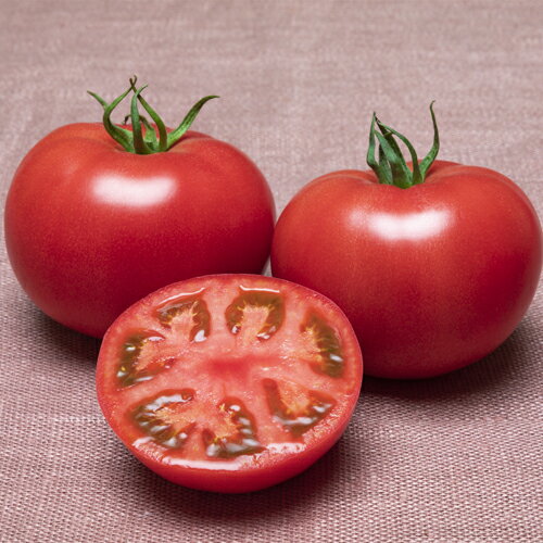 ・裂果に強く、秀品率が高い ・着果がよく果形安定 ・短節間で誘引作業が省力 ・高度な複合耐病性 メーカー在庫となります為、流動的となります メーカー確認後、すぐにご用意できない等の場合もございます。その際は予約対応となり別途御連絡させていた...