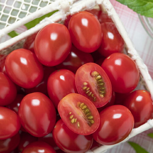 ・差別化できる形状と食感 ・果実はヘタなし流通可能 ・つやがあり店もちがよい果実 ・黄化葉巻病耐病性をもつ メーカー在庫となります為、流動的となります メーカー確認後、すぐにご用意できない等の場合もございます。その際は予約対応となり別途御連...