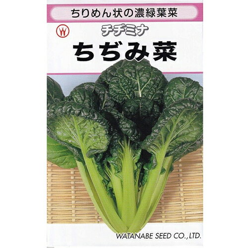 ・葉がちりめん状に縮む葉菜です。 ・葉は丸型、肉厚で光沢のある濃黒緑色です。 ・耐寒性、耐暑性があり、周年栽培が可能です。 ・お浸しや炒め物にぴったりです。 ・メーカー在庫となります為、流動的となります メーカー確認後、すぐにご用意できない...