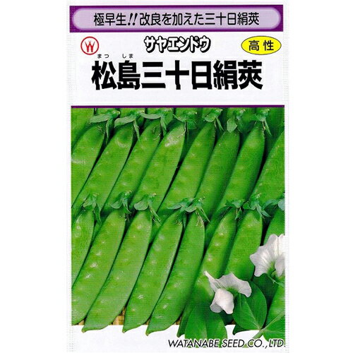 ・草勢は旺盛で、分岐、着花数も多く、多収が期待できる白花の極早生種です。 ・双莢性強く、莢は曲りの少ない中莢で、長さ8センチ、幅1.5センチ位となります。 ・耐寒性に優れ、秋まき栽培での越冬率も高いです。 ・高温着莢性も良く、東北地方以北の...
