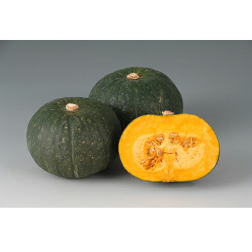 ・草姿が中葉の立性で節間が短く、雌花着生も良好なため着果が安定。 ・果実は整った扁円形で玉揃いもよい。 ・果重1.8kg前後で肥大性に富む。 ・果皮色は強い濃緑色を示し、チラシ斑は目立たない。 ・食味は強粉質で甘みが強く、良好。 メーカー在...