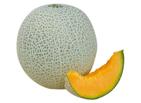 メーカー在庫となります為、流動的となります メーカー確認後、すぐにご用意できない等の場合もございます。その際は予約対応となり別途御連絡させていただきます。 申し訳ございませんが、ご了承の程よろしくお願いいたします。 【納期】 見込みで7から...