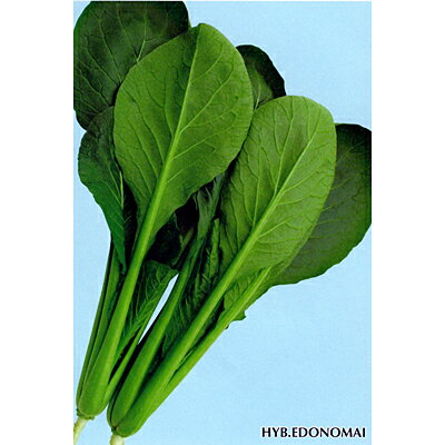 メーカー在庫となります為、流動的となります メーカー確認後、すぐにご用意できない等の場合もございます。その際は予約対応となり別途御連絡させていただきます。 申し訳ございませんが、ご了承の程よろしくお願いいたします。 【納期】 見込みで7から...