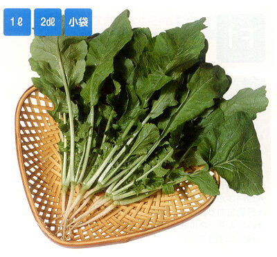 こちらは野菜のタネです