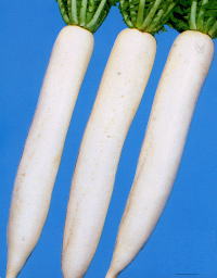 こちらは野菜のタネです