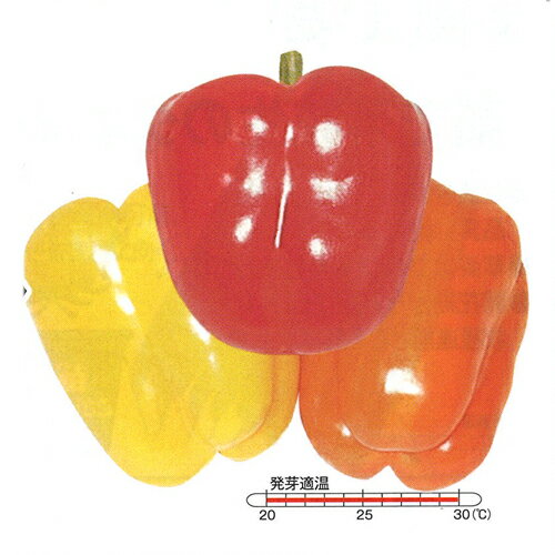 メーカー在庫となります為、流動的となります メーカー確認後、すぐにご用意できない等の場合もございます。その際は予約対応となり別途御連絡させていただきます。 申し訳ございませんが、ご了承の程よろしくお願いいたします。 【納期】 見込みで7から...