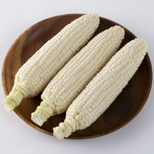 ・播種後88日程度で収穫可能な中生種です。 ・艶のある白色の粒色で、糖度が高く、食味に大変優れます。 ・比較的発芽が安定し、初期生育に優れます。 ・サイズが良く揃い、先端まで実がしっかり入るので見栄えが良いです。 ・穂重は苞葉付きで300g...