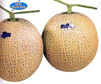 メーカー在庫となります為、流動的となります メーカー確認後、すぐにご用意できない等の場合もございます。その際は予約対応となり別途御連絡させていただきます。 申し訳ございませんが、ご了承の程よろしくお願いいたします。 【納期】 見込みで7から...