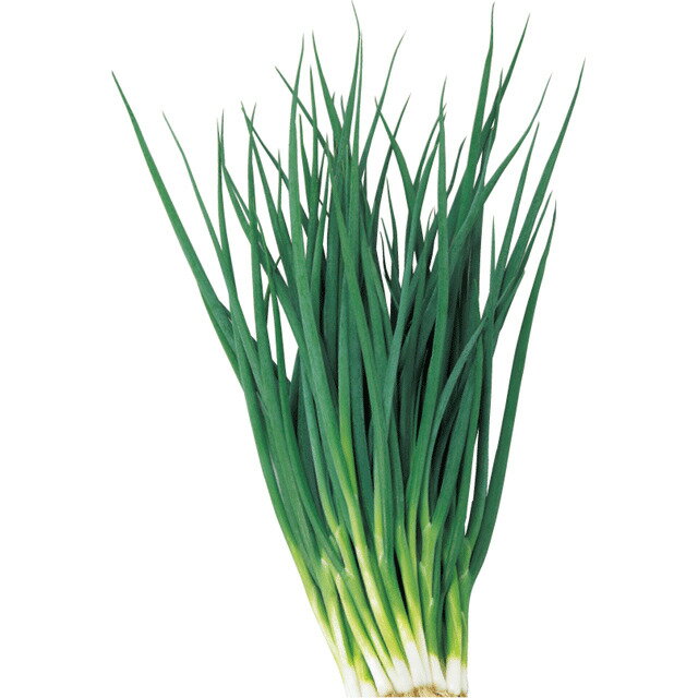 メーカー在庫となります為、流動的となります メーカー確認後、すぐにご用意できない等の場合もございます。その際は予約対応となり別途御連絡させていただきます。 申し訳ございませんが、ご了承の程よろしくお願いいたします。 【納期】 見込みで7から...