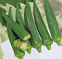 メーカー在庫となります為、流動的となります メーカー確認後、すぐにご用意できない等の場合もございます。その際は予約対応となり別途御連絡させていただきます。 申し訳ございませんが、ご了承の程よろしくお願いいたします。 【納期】 見込みで7から...