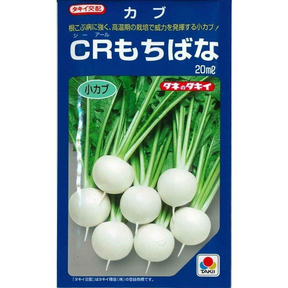 ●根こぶ病に強く、高温期の栽培で威力を発揮！●根こぶ病に強く、夏場の栽培でも徒長しにくく、根割れ、ひび割れが少ない。